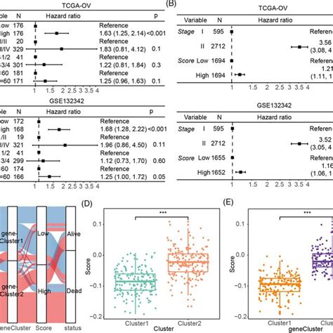 Identification Of Different Ovarian Cancer Subtypes Based On Download Scientific Diagram