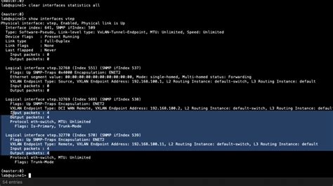 Seamless EVPN VXLAN Stitching Verification HPE Juniper Networking US