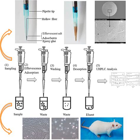 The Overview Of The Analysis Process Of The Ept Spe Hplc 62