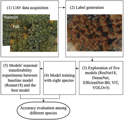 Tree Species Classification From Uav Canopy Images With Deep Learning