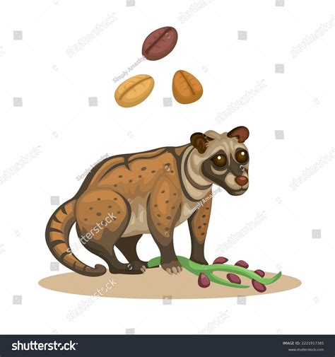 Civet