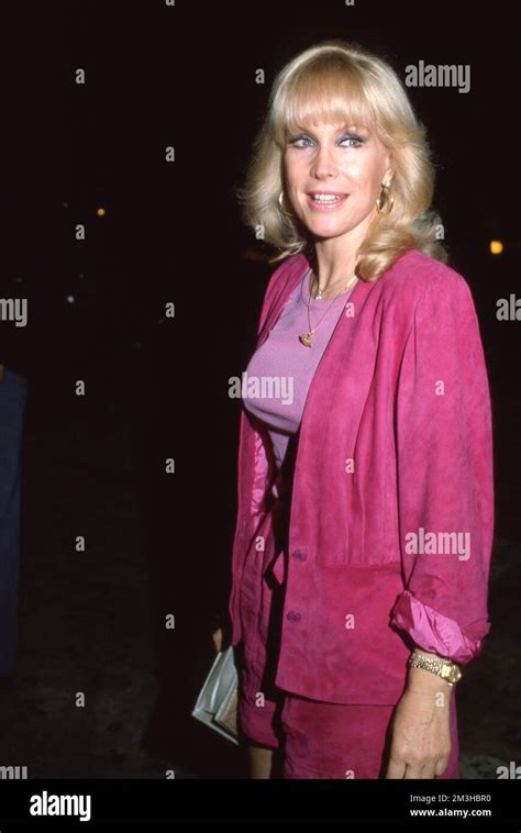 Barbara Eden Credit Ralph Dominguez Mediapunch Stock Photo Alamy