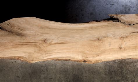 세상의 나무 ② 오크oak 문명을 품은 어머니 나무