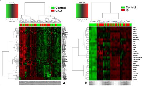 Cluster Heat Maps Of Degs Red Represents Cadis Group And Green