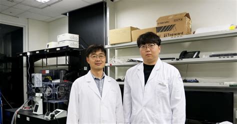 dgist 몸속 마이크로 로봇 양산기법 개발 재생의학 발전에 기여 전망