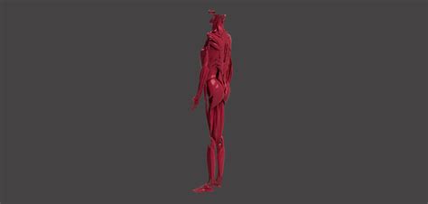 3d File Human Muscle Organ Segmented 🦷 ・3d Printing Model To Download・cults