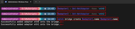 Programmatically Create A Network Bridge In Windows