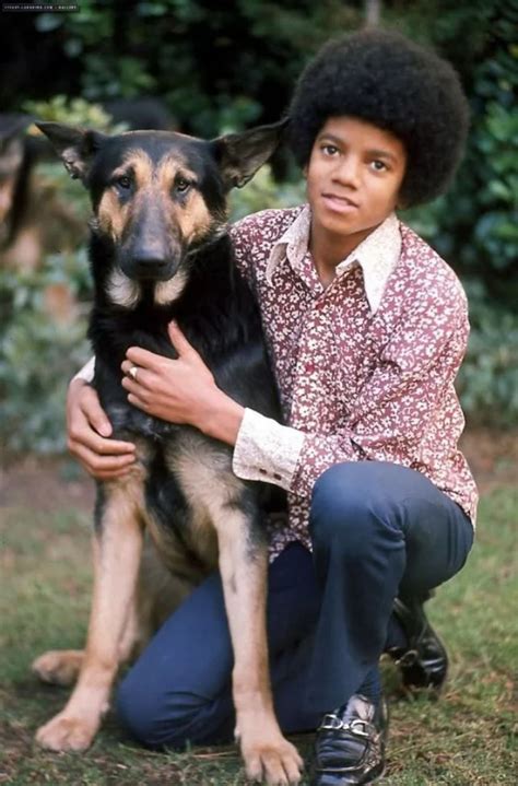 20 Photographs Of Michael Jackson Posing With Animals ~ Vintage Everyday