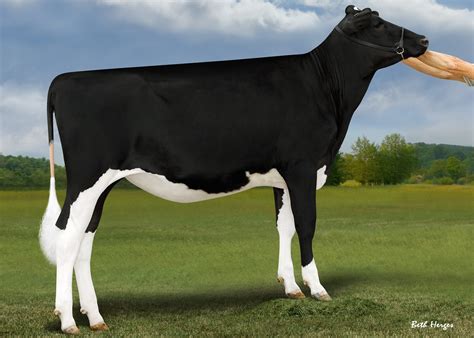 Duckett Conway Hope De Conway Uit Embryosale Embryos