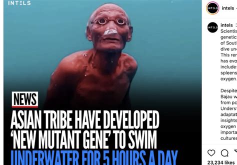 Research Suggests That A Particular Mutation Related To Larger Spleen