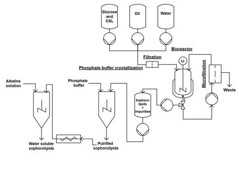 A Sl Fermentation Broth After Separation B Sl Production In 5