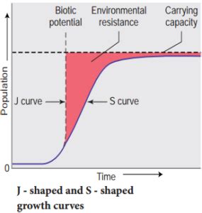 Growth Models Curves And Its Types