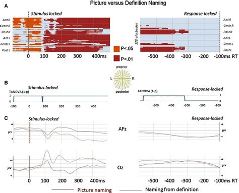 Results Of Stimulus Locked And Response Locked Waveform Comparisons Download Scientific Diagram