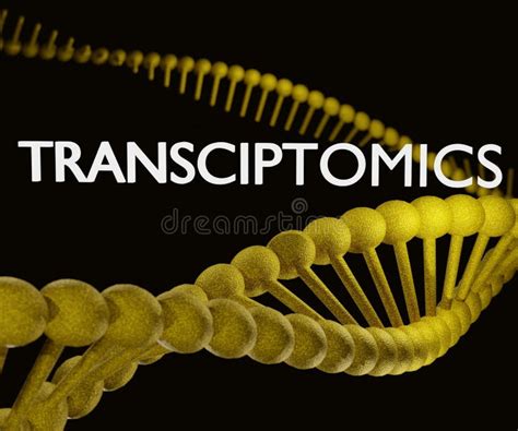 Transcriptomics Stock Illustrations 152 Transcriptomics Stock Illustrations Vectors And Clipart
