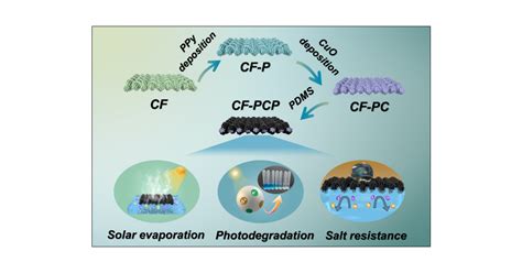 A Multifunctional Synergistic Solar Driven Interfacial Evaporator For