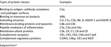 Functional Protein Classes In The Complement System Download Scientific Diagram