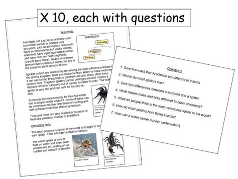 Classification Comprehension Worksheet Set Of Each Questions