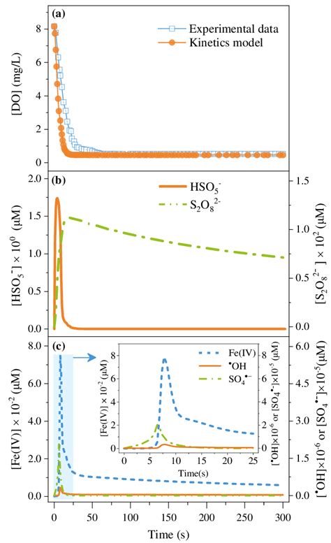 Evolution Of O 2 A Hso 5 − And S 2 O 8 2− B Fe Iv • Oh And So Download Scientific