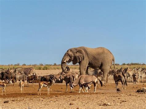 Pgx Inc On Linkedin Pgus