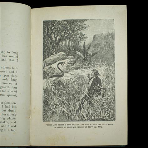 Antique Treasure Island Book Robert Louis Stevenson English Late