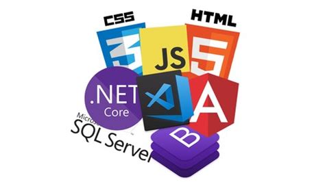 Seja Full Stack Asp NET Core Web API Angular e EF Core Programação Prática