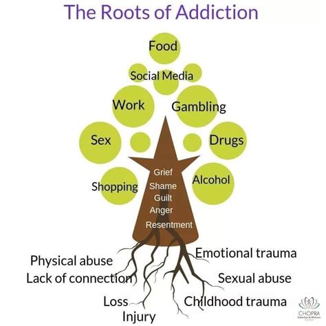 hierarchy of needs model for recovery artofit