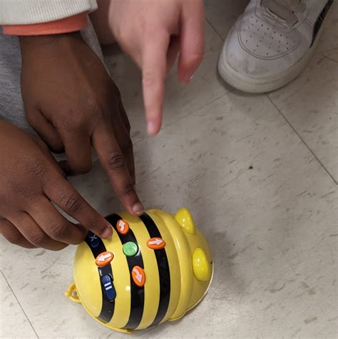 exploring coding using bee bots in kindergarten