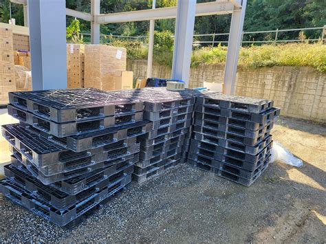 플라스틱 일회용 수출파렛트 당근 중고거래