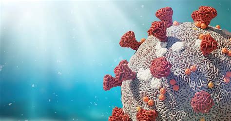 Sars Cov 2 Resources Ncbi