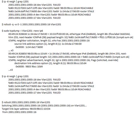 Arp Update Script IPv Neighbors Are Not Discovered In Some Cases Issue Sonic Net