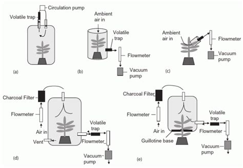 Plant Volatile Sampling Techniques
