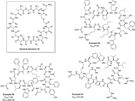Scheme 13 The General Structure And Examples Of The Macrocycles