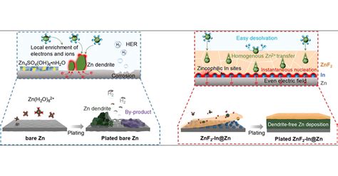 Highly Reversible Dendrite Free Zinc Anode Enabled By A Bilayered