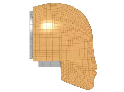 Free Motion Headform Fe Humanetics