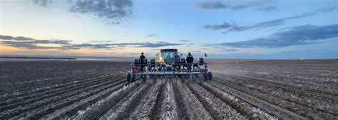 Subsurface Drip Irrigation The Most Sustainable Water Solution For
