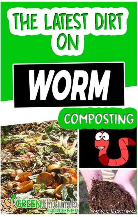 Vermiculture Composting With Worms Guide Green Thumb Gardener
