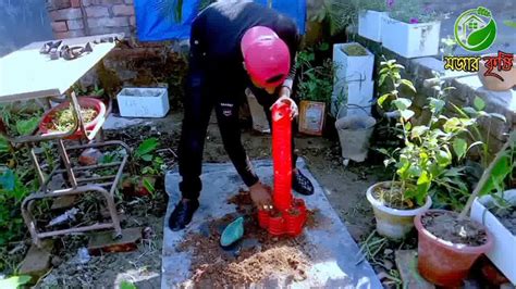 বাসা বাড়ির ফেলে দেওয়া বোতল দিয়ে তৈরি করুন অসাধারণ একটা গাছ লাগানো টব বাসা বাড়ির ফেলে
