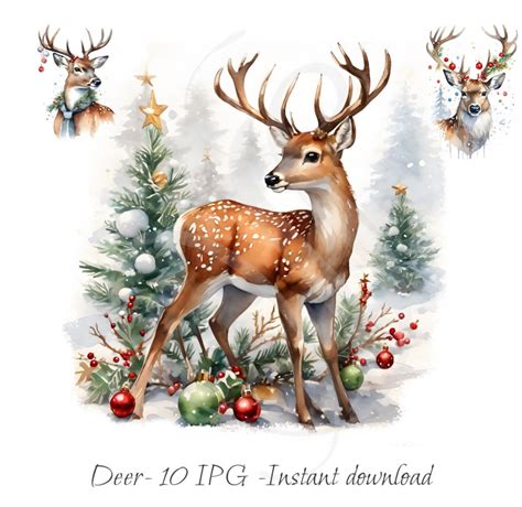 Whimsical Christmas Deer Clip Art Bundle 10 High Quality  Files