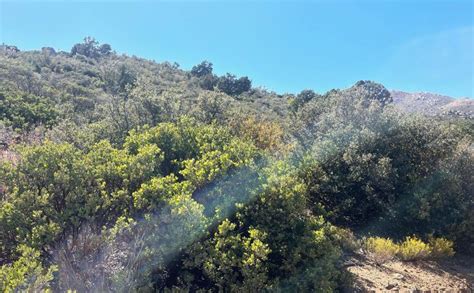 000 Mcgee Pass Wikieup Az 85360