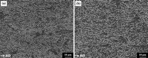 Sem Secondary Electron Micrographs Showing The Transformed