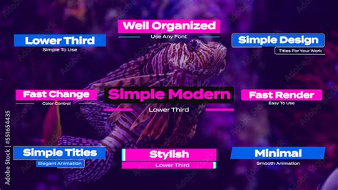 Simple Modern Title Overlay Stock Template Adobe Stock