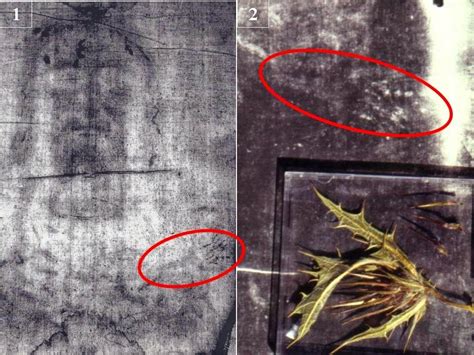 The Sudarium Of Oviedo And The Shroud Of Turin Artofit