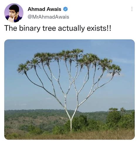 Techcareergrowth Softwareengineering Datastructures Interviewtips Alex Chiou 20 Comments