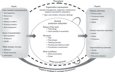 nursing theory utilization and application