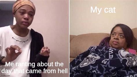 Ranting To My Cat Imgflip