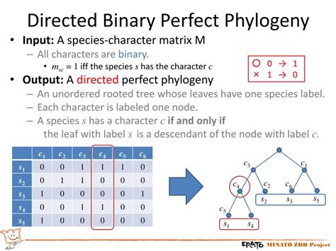 ppt efficient enumeration of the directed binary perfect phylogenies