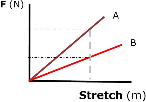 Extension Of A Spring Graph
