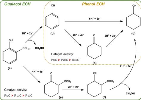 Schematic Of The Reaction Pathways For The Guaiacol And Phenol Ech And Download Scientific