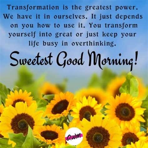 50 Amazing Good Morning Images With Inspirational Quotes