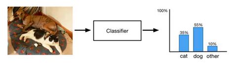 Computer Vision Object Detection 1